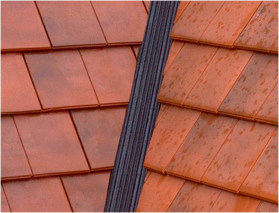 Nedsale BV - specialist in dakaccessoires 5